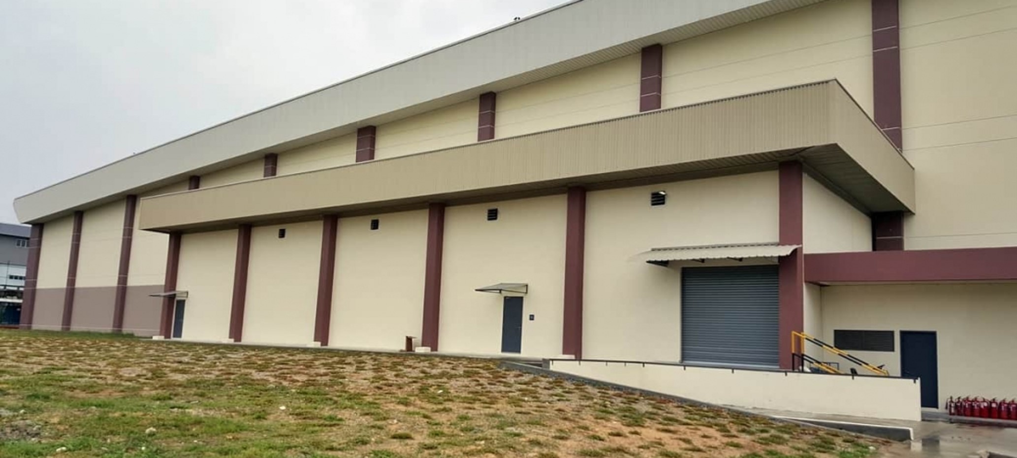 Zuellig Pharma – DSGN